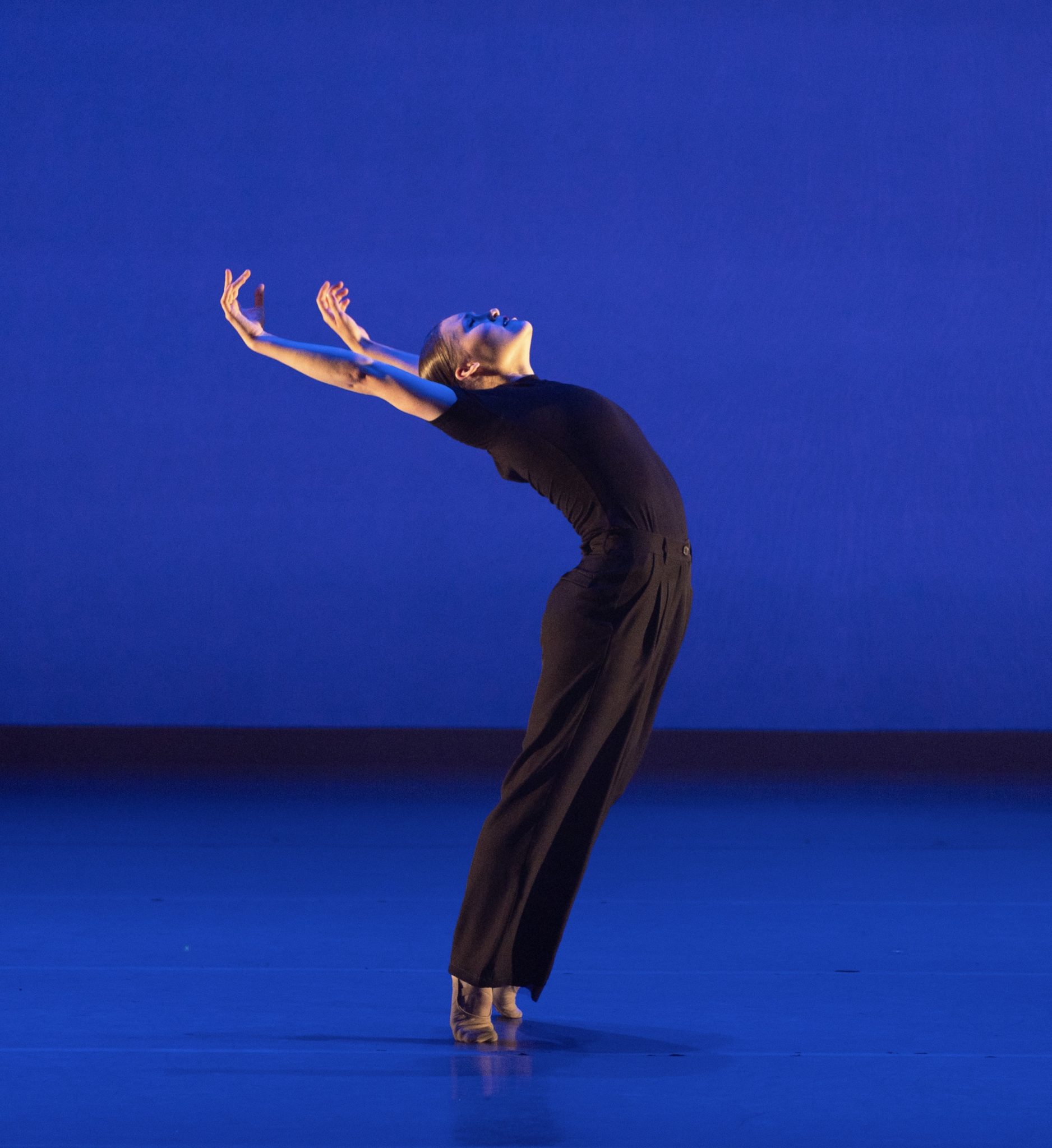 Circadia - American Repertory Ballet