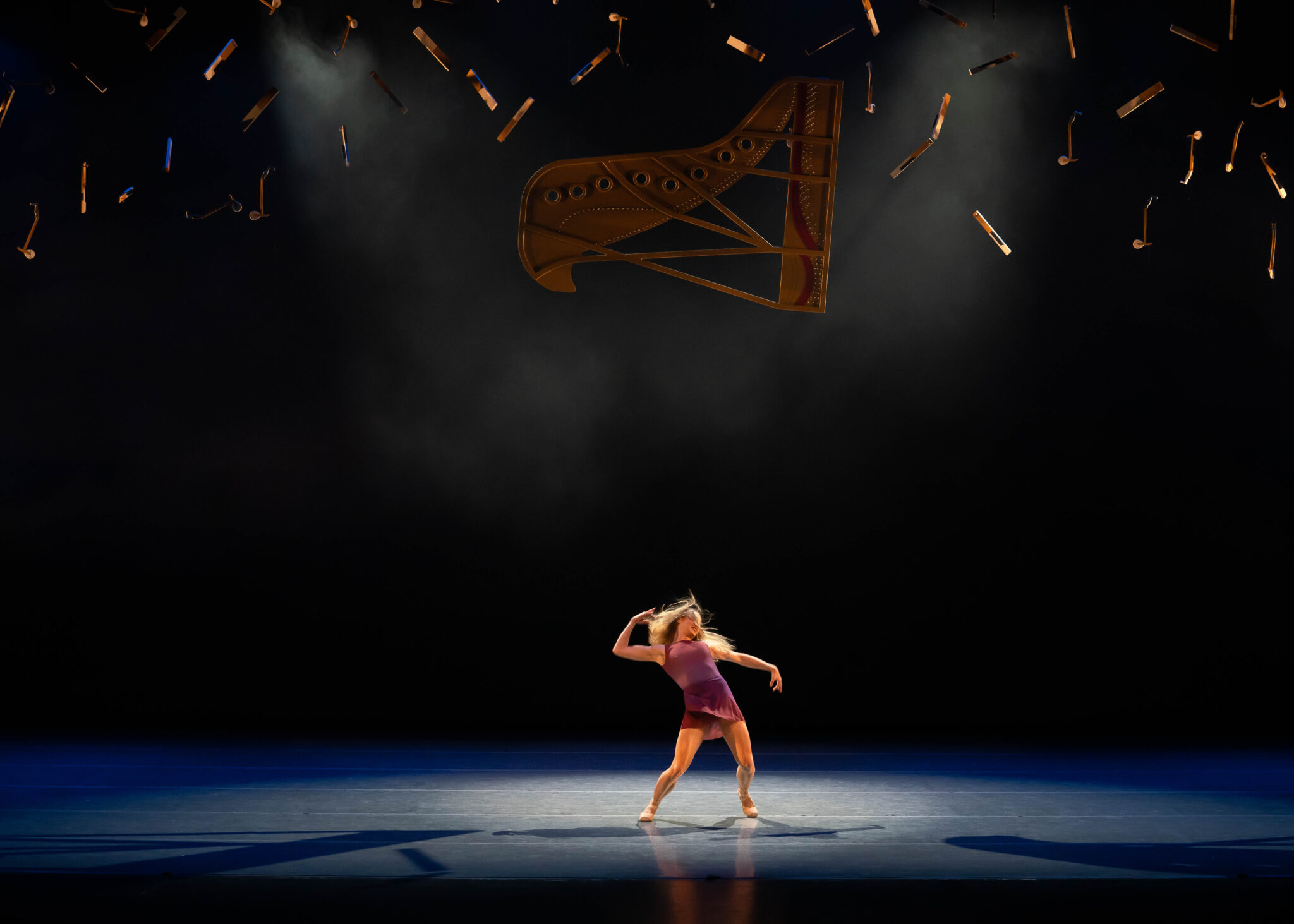 VARIANTS - American Repertory Ballet