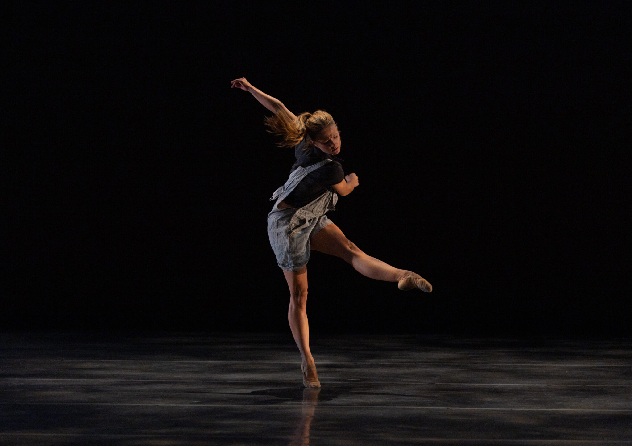 Selected Repertoire - American Repertory Ballet