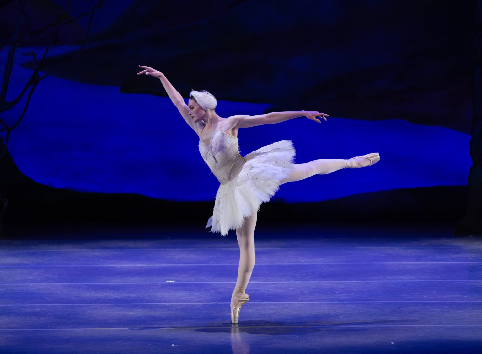 Savannah Quiner - American Repertory Ballet