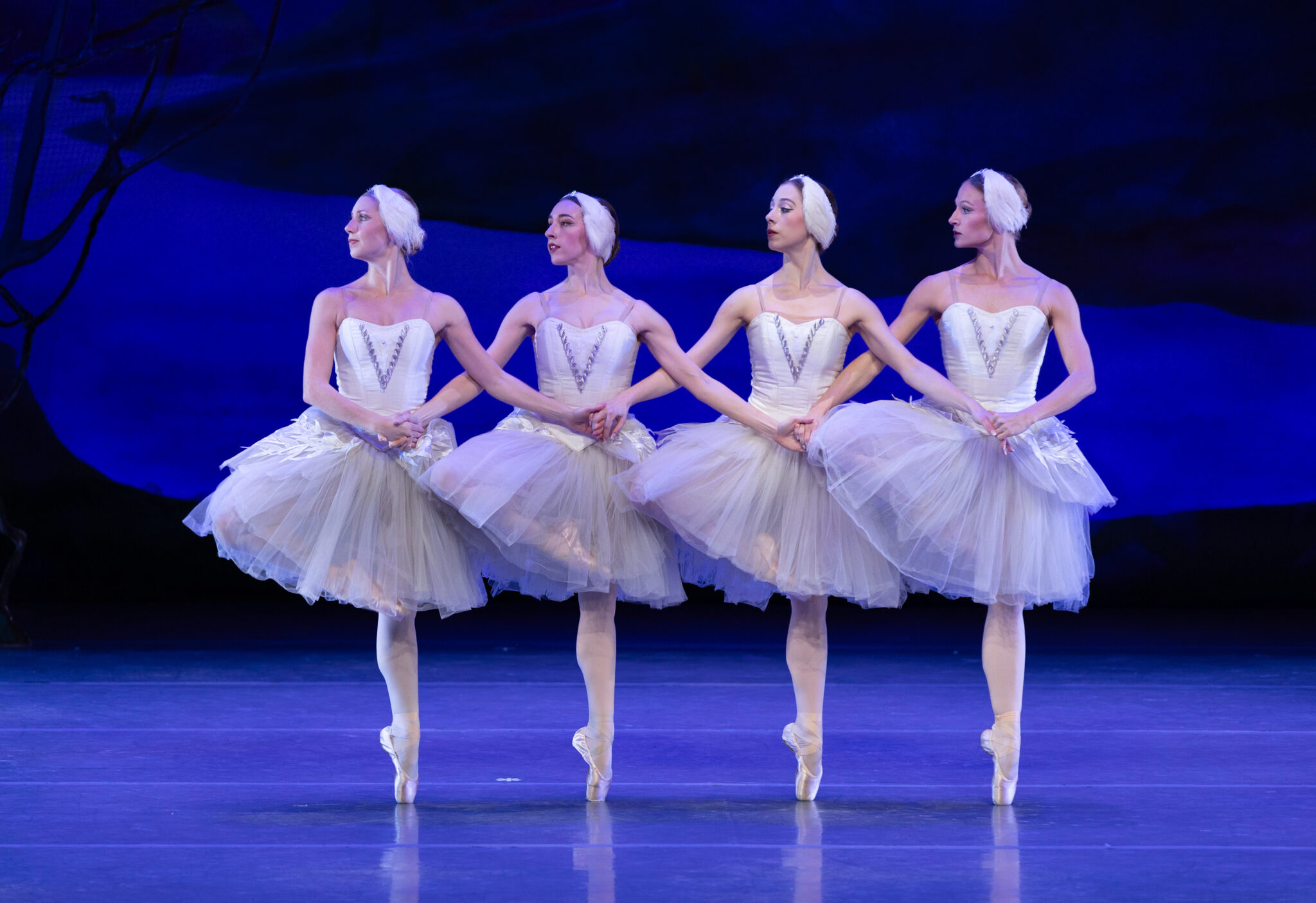 PBS Family Association - American Repertory Ballet